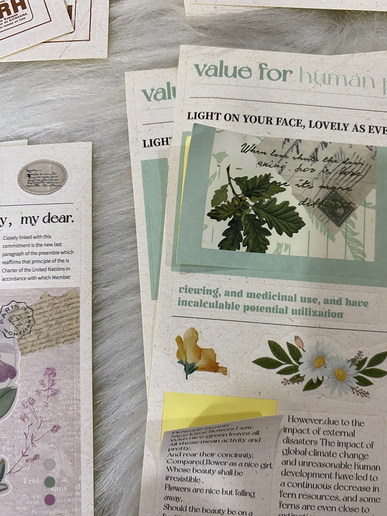 Pre-cut Paper Sticker Sheets – The Esthetique Studio